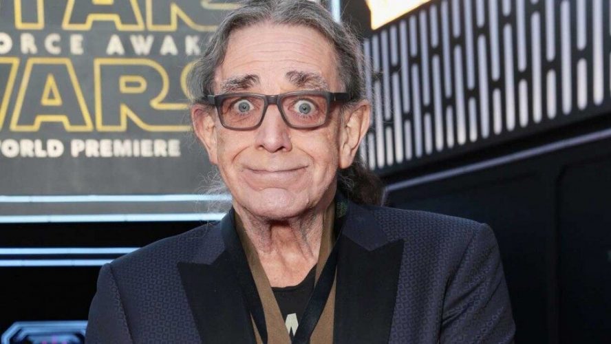 Chewbacca Star Peter Mayhew Dies Aged 74 | Geek Culture
