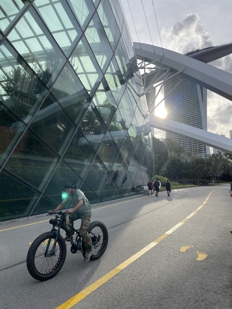 We Challenge You Take Better Photos With The Apple iPhone 12 mini ...