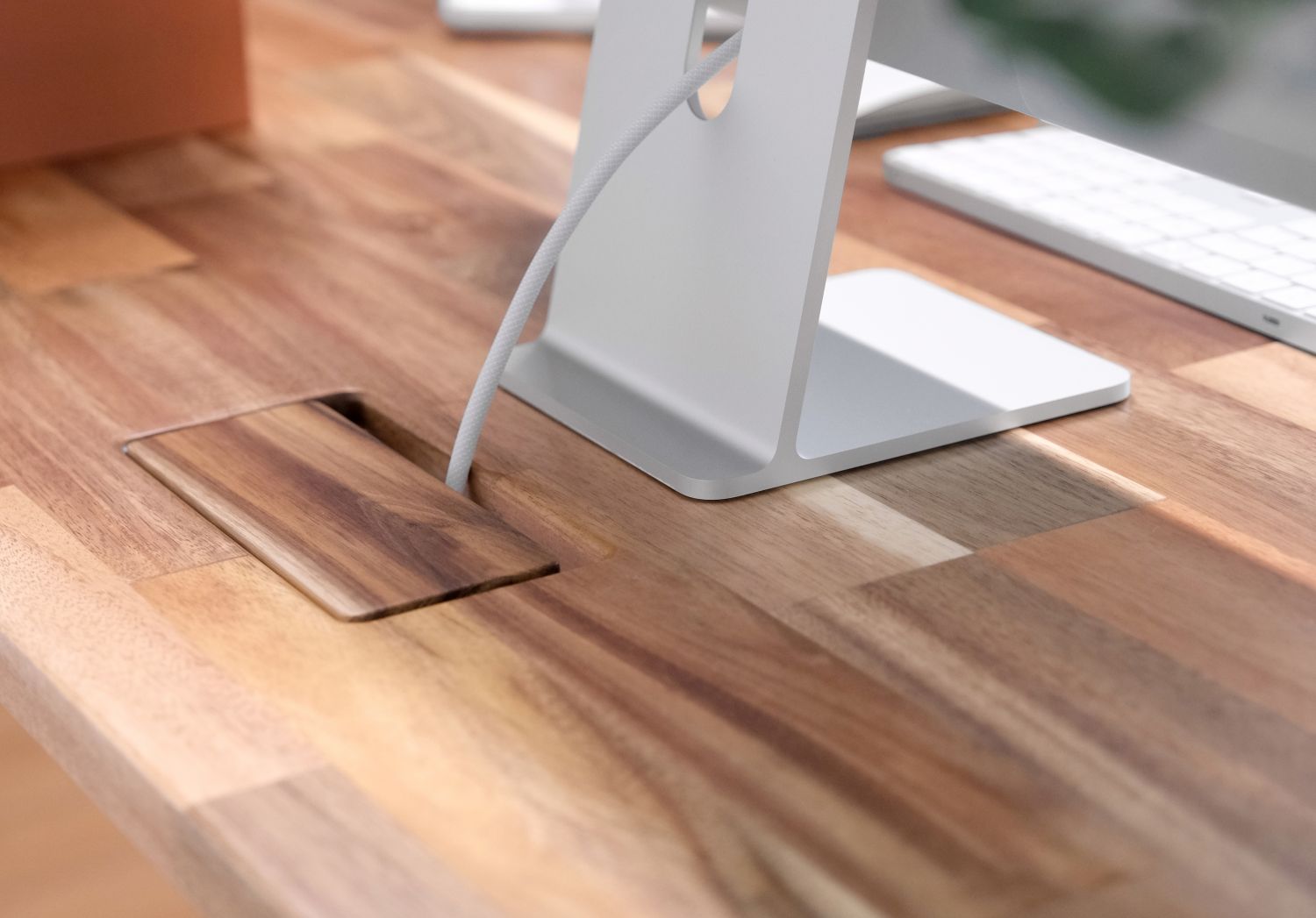 Omnidesk Wildwood Collection Launches New Lineage, "The Wildwood+ ...