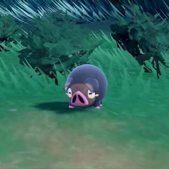 Lechonk, The New Lechón-Inspired Pokémon, Has Become A Crowd Favourite ...