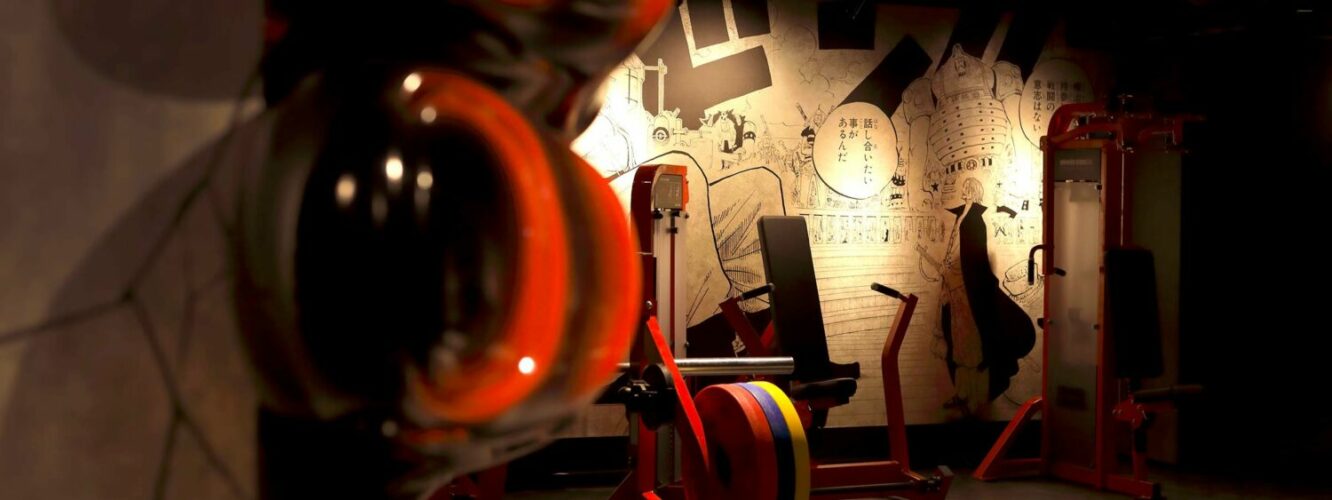 Japan's Permanent One Piece Gym Lets You Train To Be The Fitness King ...
