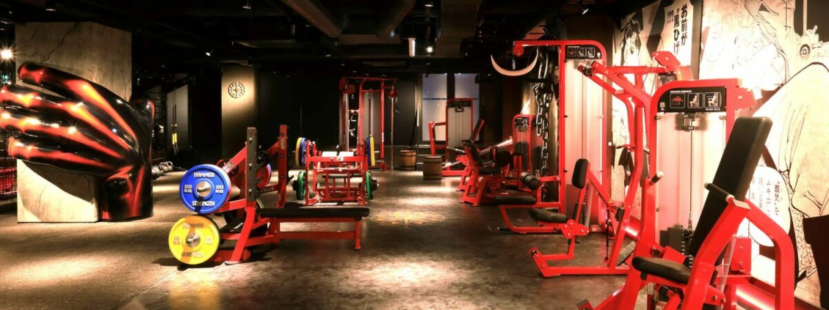 Japan's Permanent One Piece Gym Lets You Train To Be The Fitness King ...