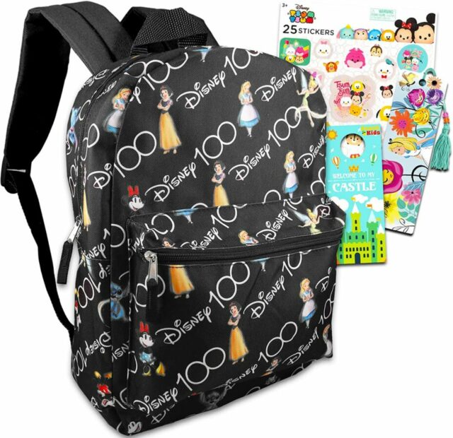 Best Merchandise To Buy From Amazon’s Disney 100th Anniversary ...