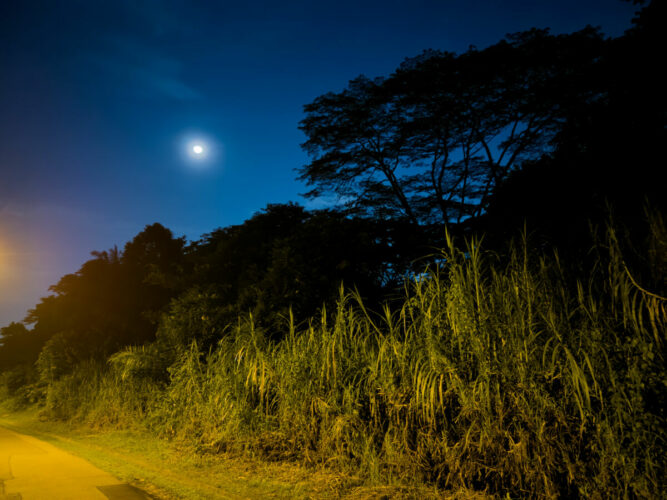 How To Get The Best iPhone 15 Photos In Night Mode & Low Light
