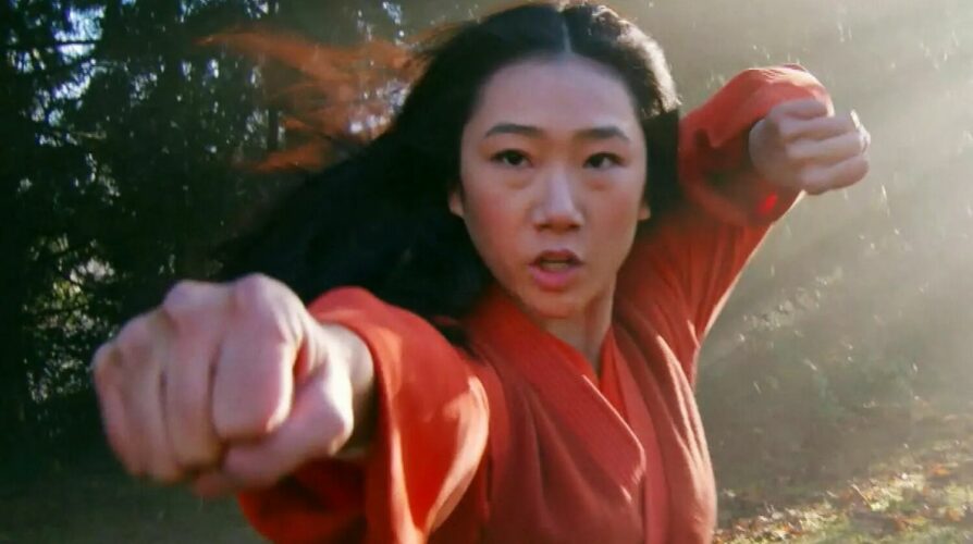 Donnie Yen Leads US 'Kung Fu' Film Adaptation For Universal | Geek Culture