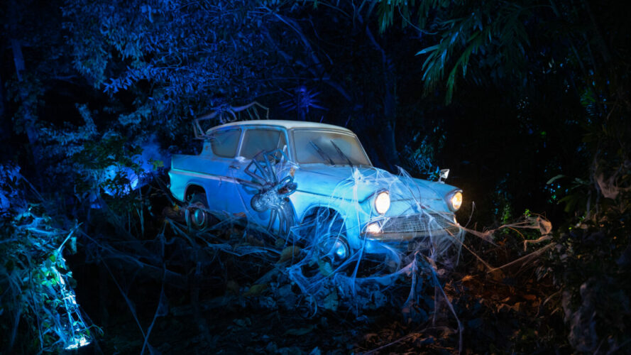 Harry Potter: A Forbidden Forest Experience In Singapore – Magical Or ...