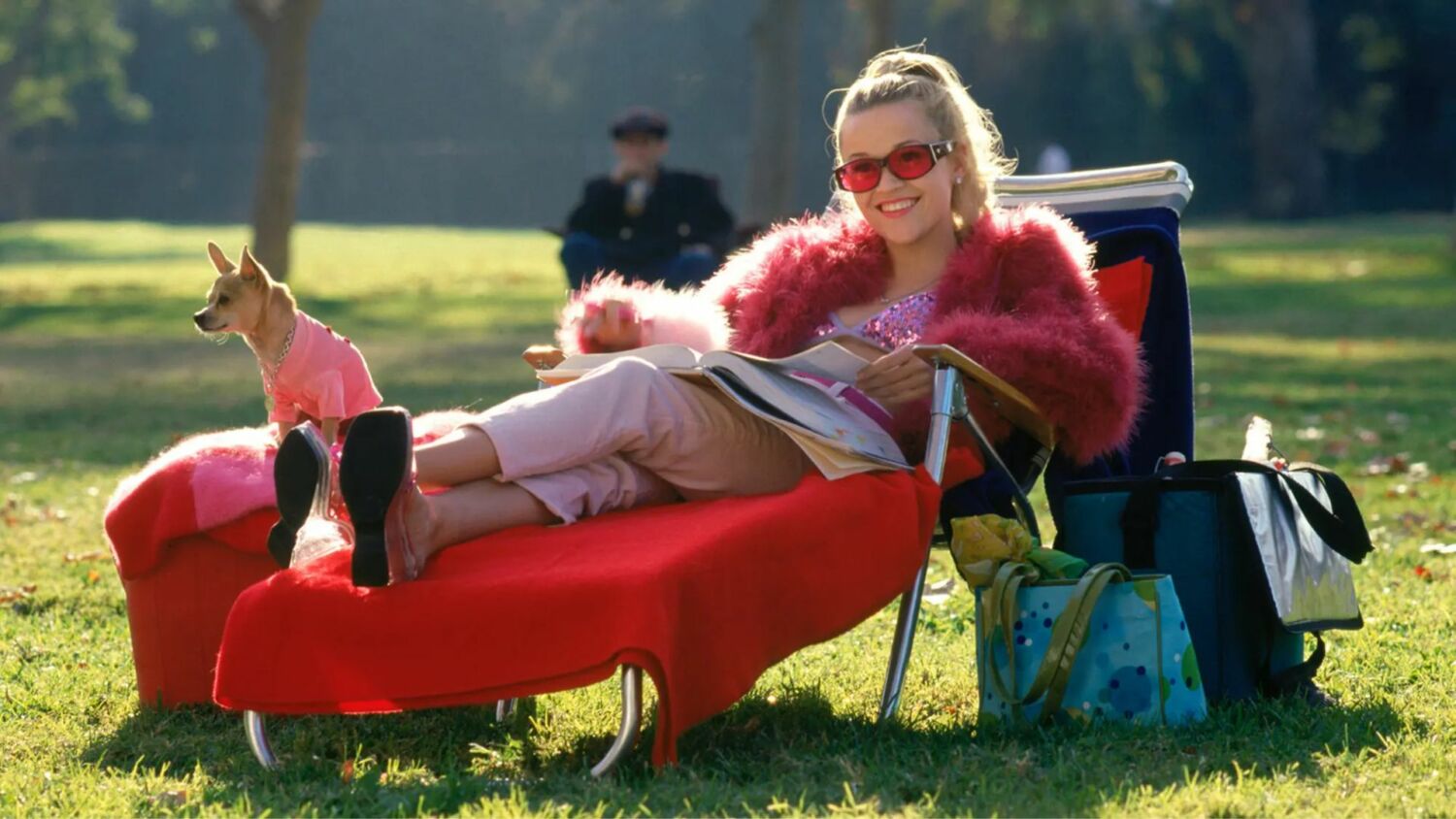 ‘Legally Blonde’ Spin-Off Series Bending And Snapping Its Way To Amazon ...