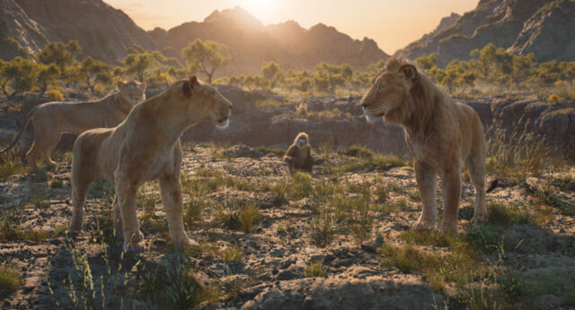 ‘Mufasa: The Lion King’ Stars Explore Themes Of Sibling Rivalry ...